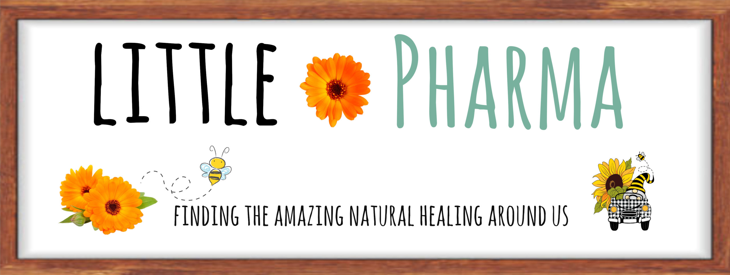Little Pharma Me | Little Pharmaceutical Alternatives